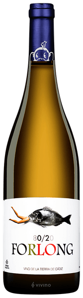 Forlong 80/20 2019(A000000401)|創作品モール あるる